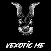 Ephebopus rufescens ( Red skeleton ) – Vexotic Me